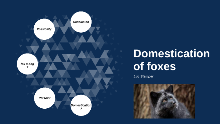 Domestication of foxes by Luc Stemper on Prezi