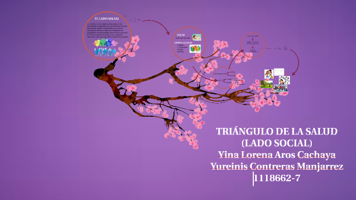 TRIÁNGULO DE LA SALUD by L Aros on Prezi