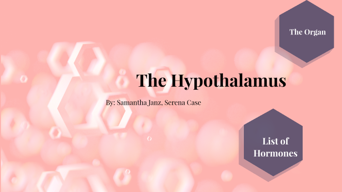 The Hypothalmus by sam janz on Prezi