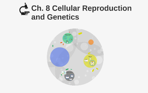 Ch. 8 Cellular Reproduction and Genetics by Evander Banks on Prezi