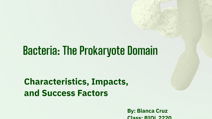 Bacteria: The Prokaryote Domain by bianca Cruz on Prezi