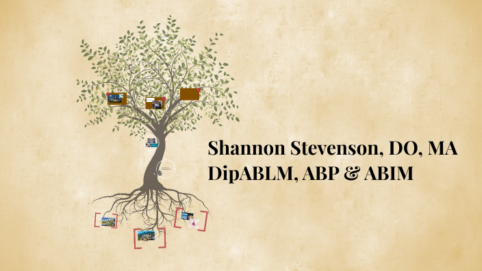 Medicine Roots by Shannon Stevenson on Prezi