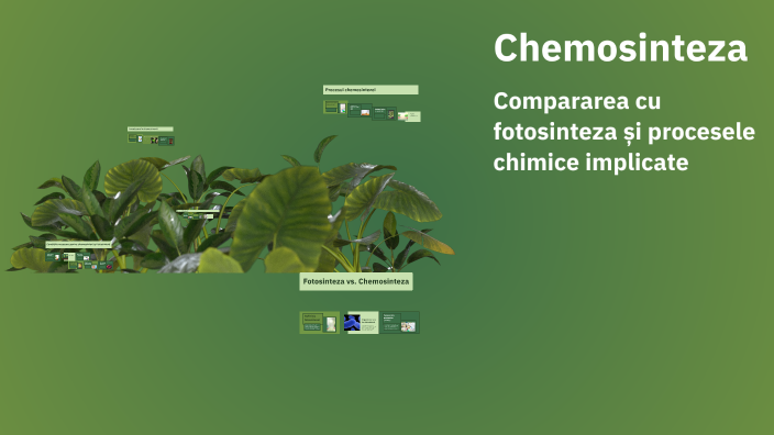 Chemosinteza by CĂLIN-ALEXANDRU DĂRÂNGĂ on Prezi