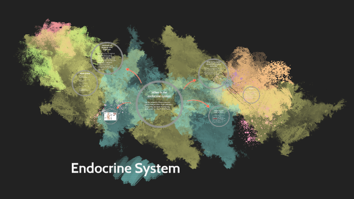 Endocrine System by Olivia Robinson on Prezi