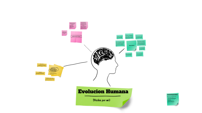 human evolution by joaquin el mio on Prezi