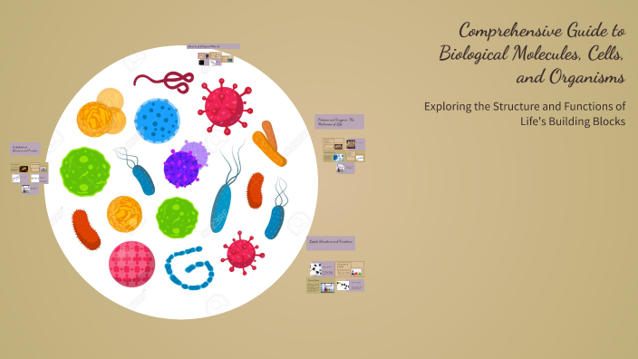 Comprehensive Guide to Biological Molecules, Cells, and Organisms by Soon Ray on Prezi