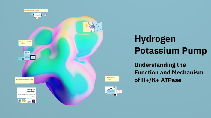 Hydrogen Potassium Pump by Shane Cepada on Prezi