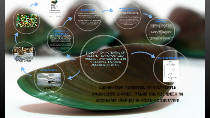 BIOSORPTION POTENTIAL OF ACETYLATED POWDERIZED MUSSEL (Perna viridis ...