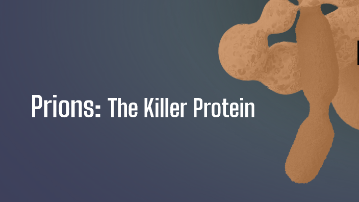 Prions: The Silent Danger by Dana Zelenka on Prezi