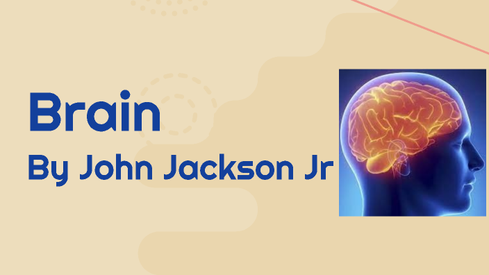 Brain- John Jackson Jr. by John Jackson on Prezi