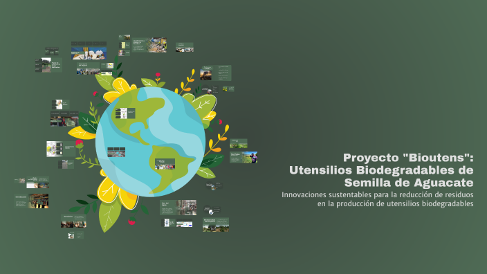 Proyecto "Bioutens": Utensilios Biodegradables de Semilla de Aguacate ...