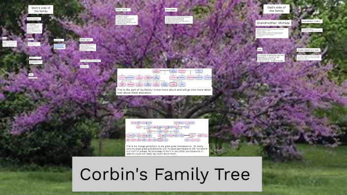 Family tree with association to college by Corbin Mace on Prezi