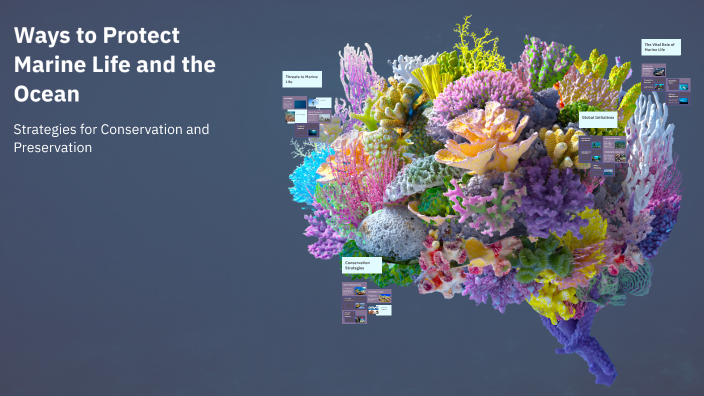 Ways to Protect Marine Life and the Ocean by nanami nanami on Prezi