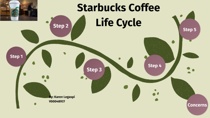 Starbucks Coffee Cycle by Ren Le on Prezi