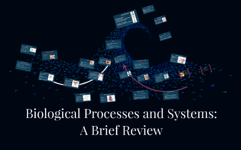 Biological Processes and Systems: by Ally Fuchs on Prezi