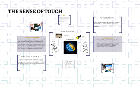 WHY IS TOUCH IMPORTANT ? by Karina Lee on Prezi