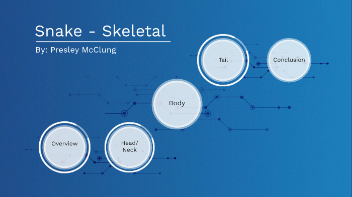 Snake Skeletal System by Presley McClung on Prezi