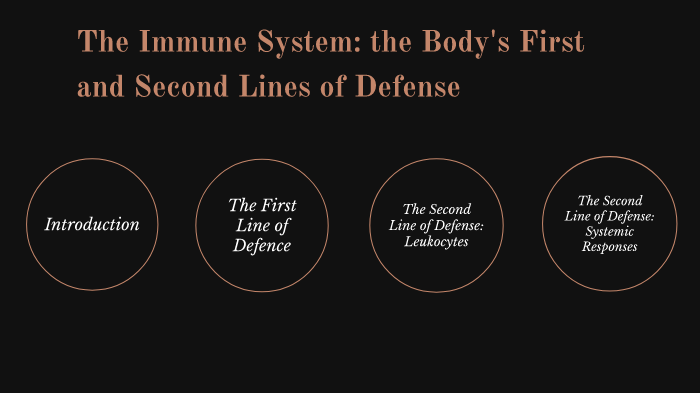 The Immune System: the Body's First and Second Lines of Defense by ...