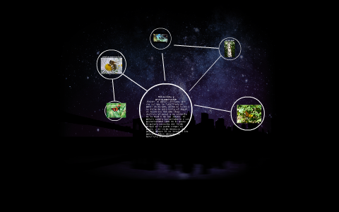 Mutualismo y protocooperacion by on Prezi