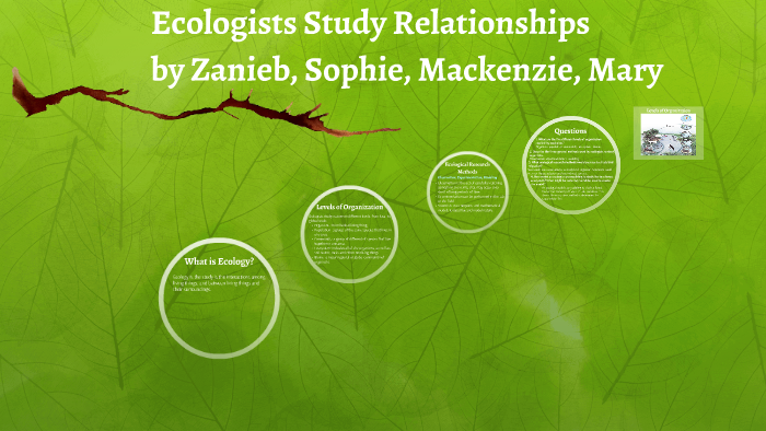 Ecologists Study Relationships by Zanieb Al-Hanoosh on Prezi
