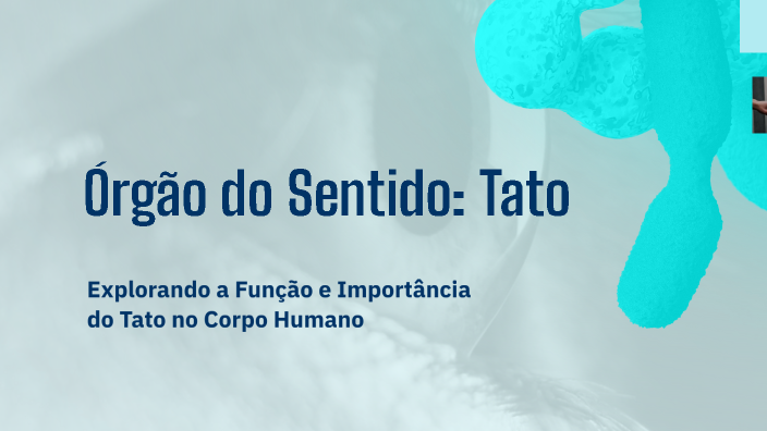 Órgão do Sentido: Tato by Eleticia Nebesniak on Prezi