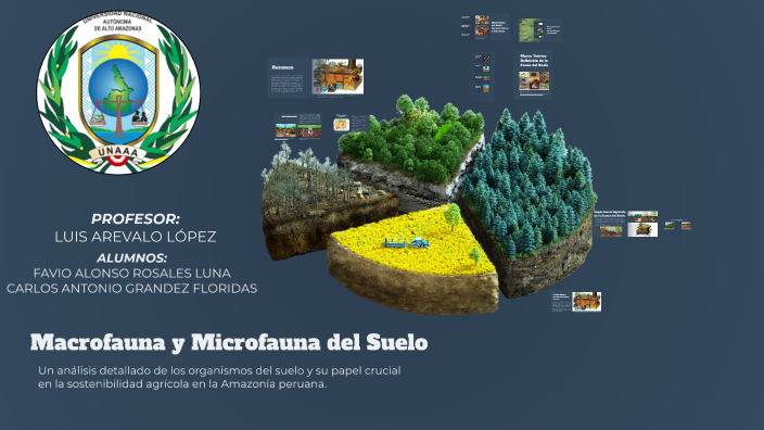 Macrofauna y Microfauna del Suelo: Un Informe Descriptivo by Favio ...