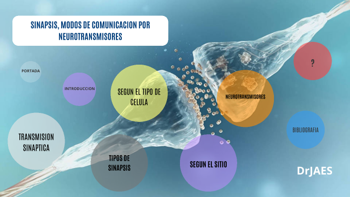 Sinapsis, modos de comunicacion by Antonio Encinia on Prezi