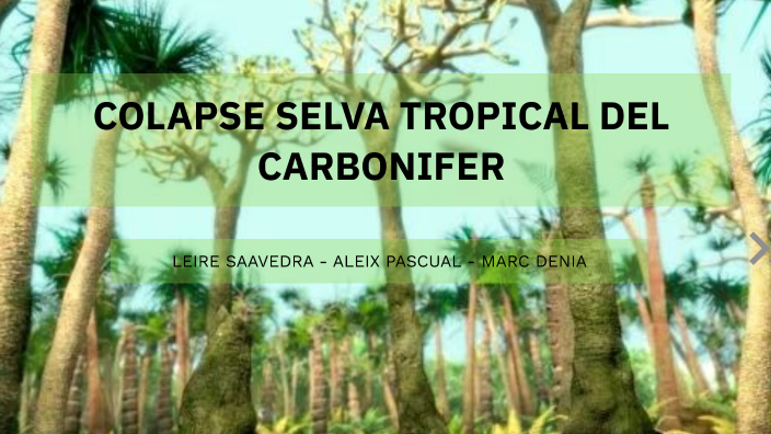 COLAPSE SELVA TROPICAL DEL CARBONIFER by Leire Saavedra on Prezi
