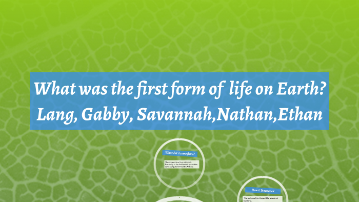 What was the first form of life on Earth? by Ethan Scott on Prezi