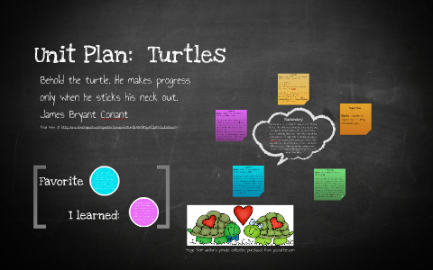 Unit Plan: Turtles by Pam Jarrett on Prezi