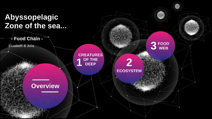 Abyssopelagic Zone of the sea... by Elizabeth I on Prezi