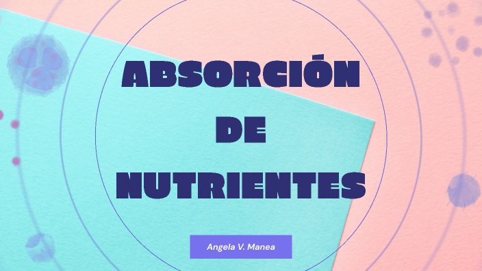 Absorción de nutrientes by angela manea on Prezi