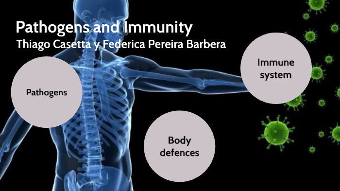 Pathogens and Immunity by Thiago C on Prezi