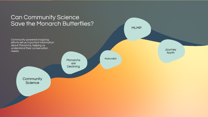 Can Community Science Help Save the Monarch Butterflies? by Savannah ...