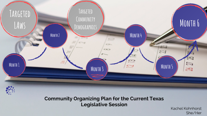Six Month Plan for the Current Texas Legislative Session by Rachel ...