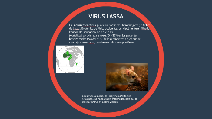 VIRUS LASSA by on Prezi