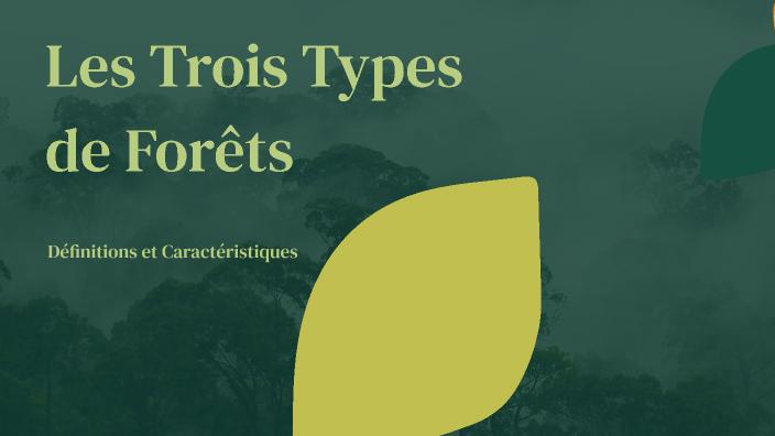 Les Trois Types de Forêts by houssem houssem on Prezi