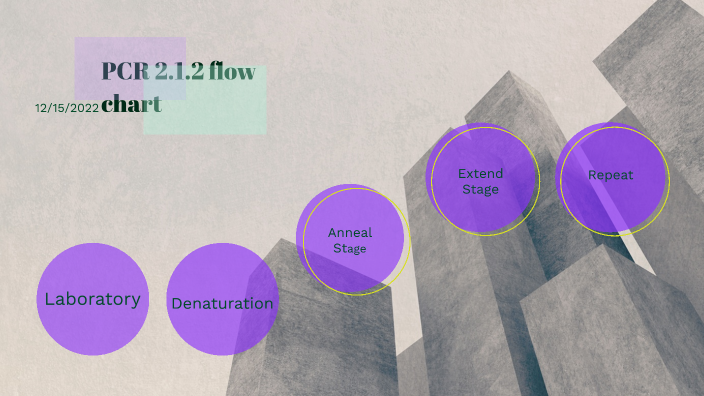 PCR Flow Chart by Kamden Hitzemann on Prezi
