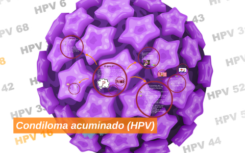 Condiloma acuminado (HPV) by Pietra Santos Simões on Prezi