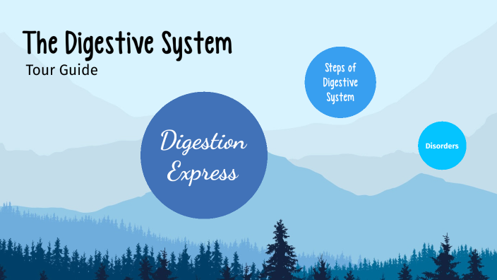 Digestive System Tour by Annelise Robinson on Prezi