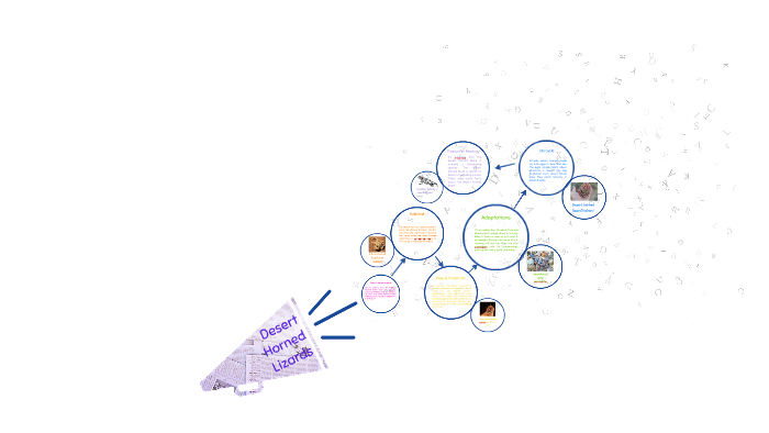 Desert Horned Lizards by Deb Ramm on Prezi
