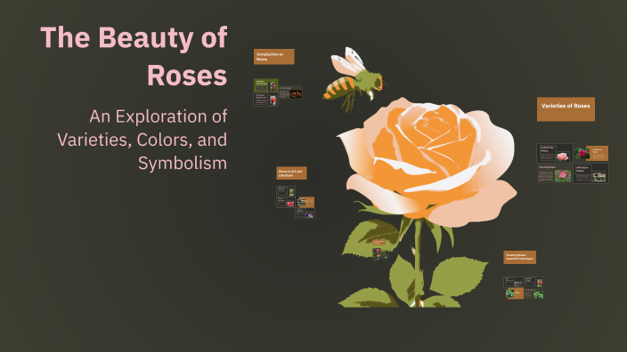 The Beauty of Roses by remzi kağan on Prezi
