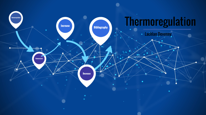 ThermoRegulation model by Lachlan Devenny on Prezi