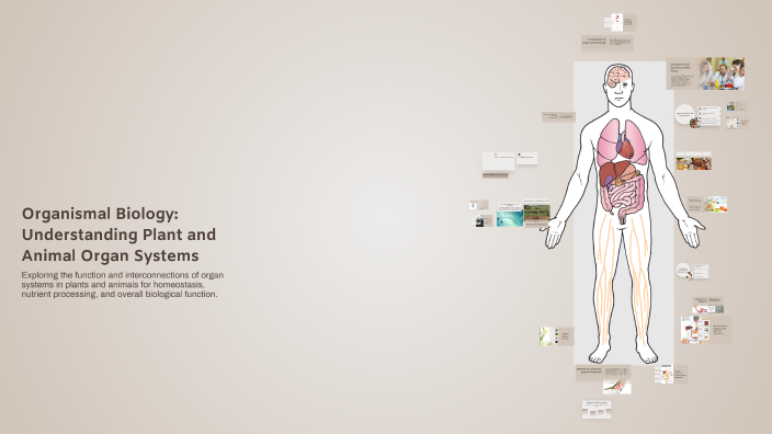 Organismal Biology: Understanding Plant and Animal Organ Systems by ...