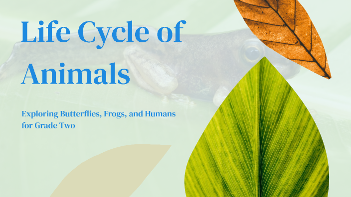 The Life Cycle of Animals by Catherine Khalil on Prezi