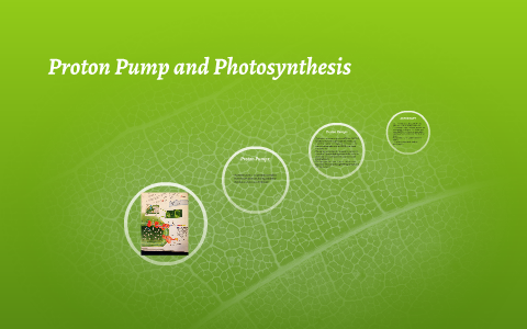 Proton Pump and Photosynthesis by Carter Allen on Prezi