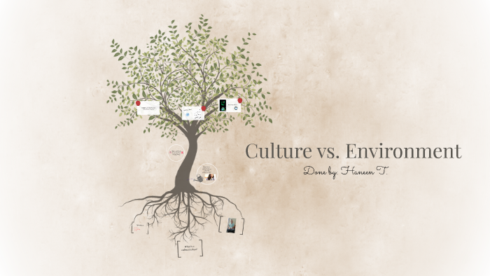 Culture vs. Environment by Haneen T on Prezi