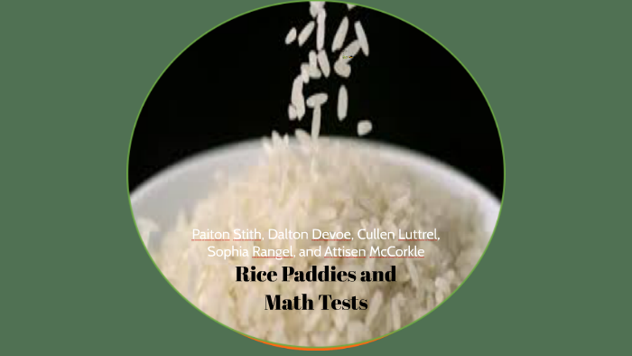 Rice Paddies and Math Tests by Paiton Stith on Prezi