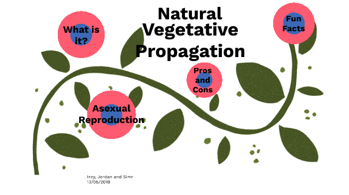 Natural Vegetative Propagation by My name Jeff on Prezi