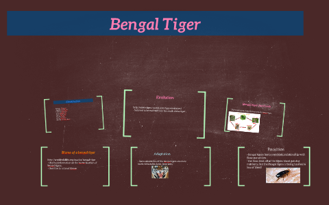 Snoiwq by Dylan Minter on Prezi